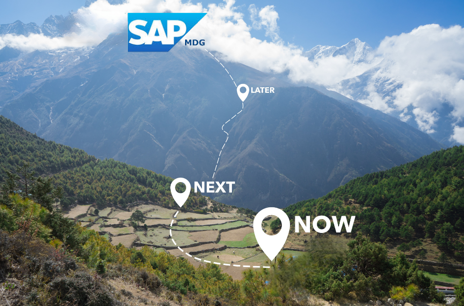 SAP's Vision for Master Data